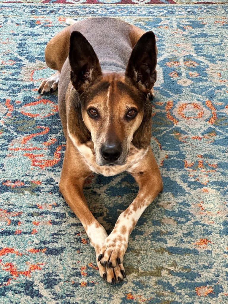 So proper - Dave Schumaker